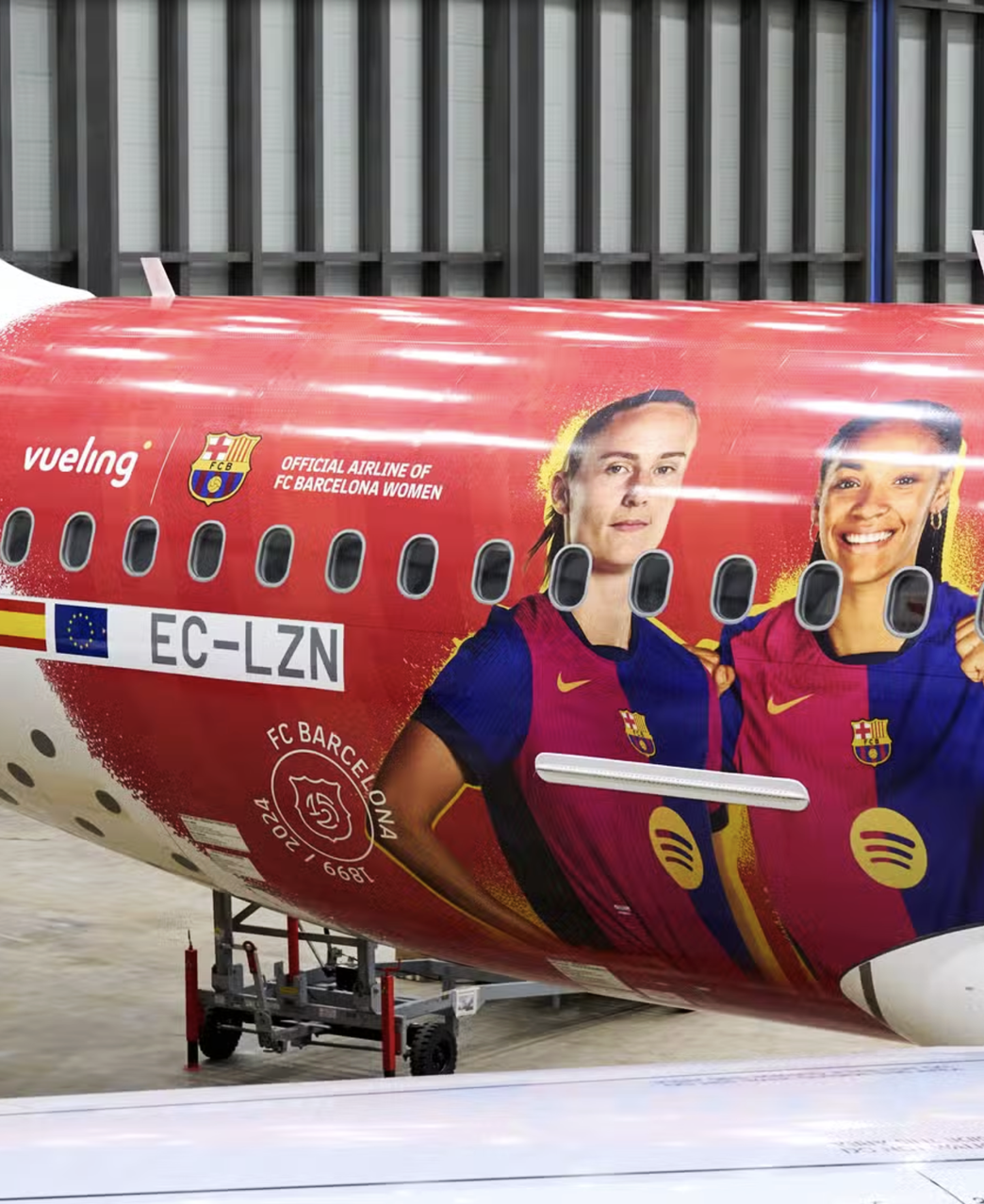 Exterior Livery Decals Certification - Cabinair Group - Aircraft ...